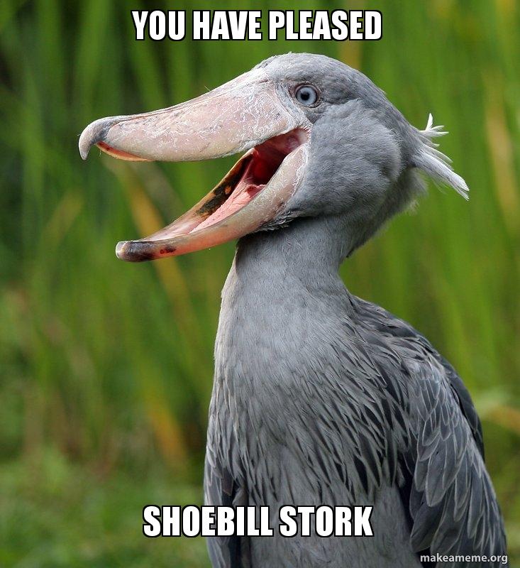You have pleased Shoebill stork Meme Generator