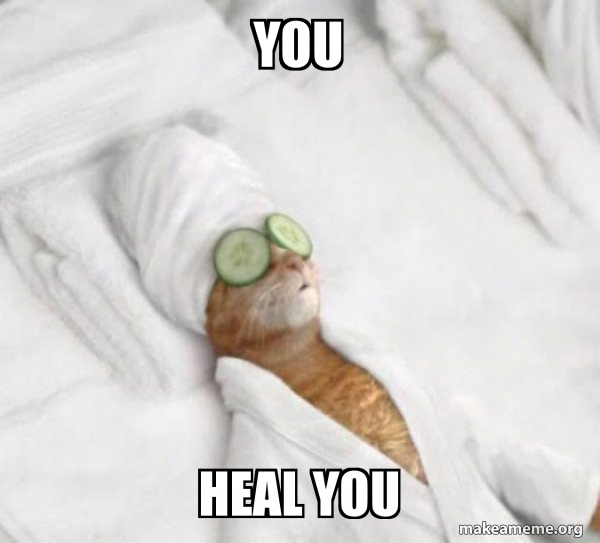 You Heal You - Pampered Cat Meme Meme Generator