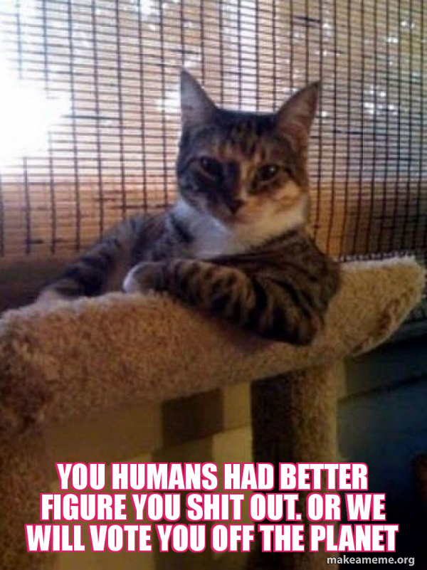 you humans had better figure you shit out. or we will vote you off the ...