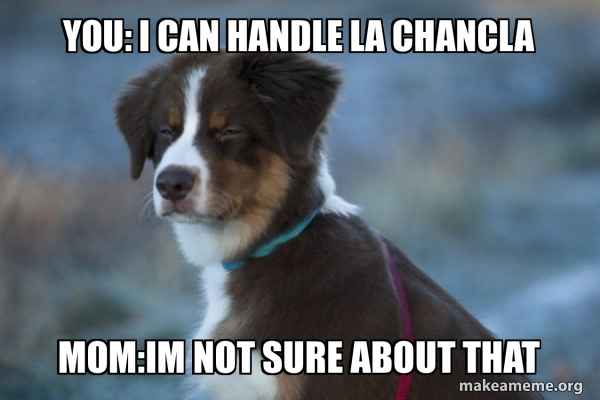 you: i can handle la chancla mom:im not sure about that - Unsure Dog ...