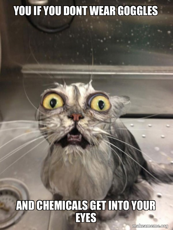 you if you dont wear goggles and chemicals get into your eyes - Cat ...