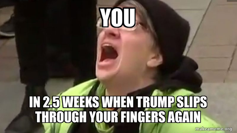 you in 2.5 weeks when trump slips through your fingers again Meme Generator