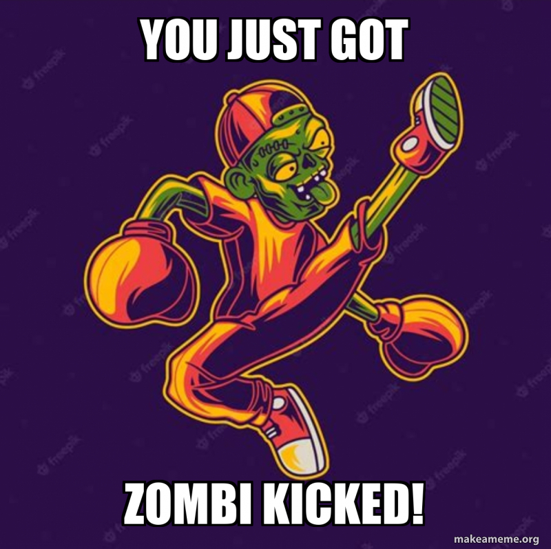 You just got Zombi Kicked! Meme Generator