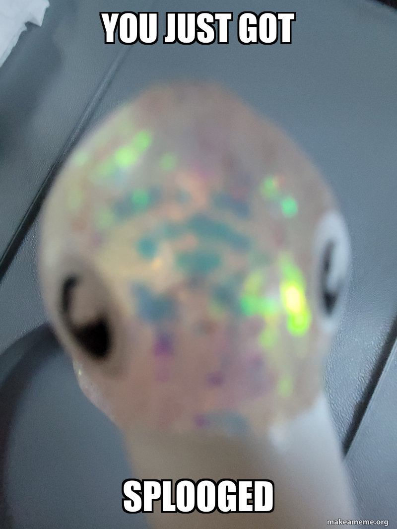 You just got SPLOOGED Meme Generator
