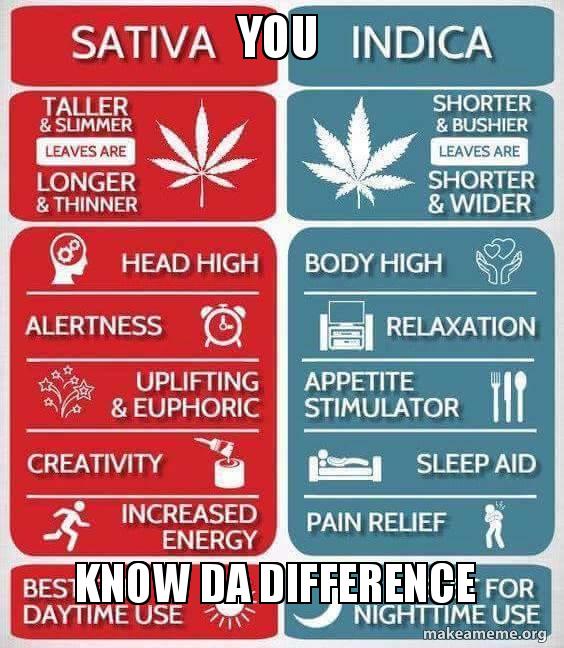 You Know da difference Meme Generator