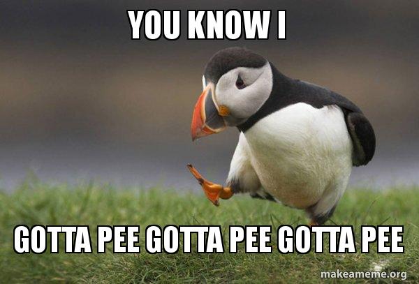 I Gotta Pee Memes Amazon.com: I Gotta Pee Funny Bathroom Humor Potty