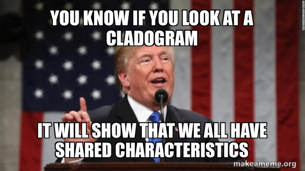 You know if you look at a cladogram it will show that we all have ...