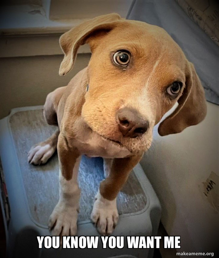 you know you want me Meme Generator