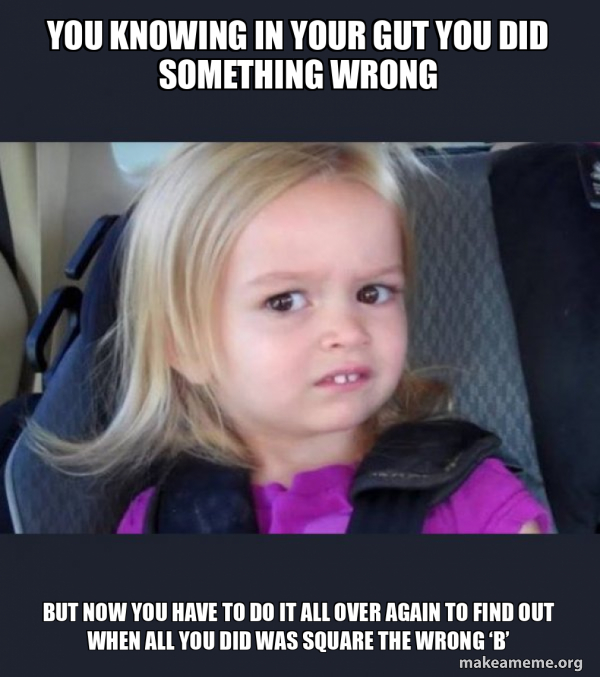 You knowing in your gut you did something wrong But now you have to do it all over again to find ...