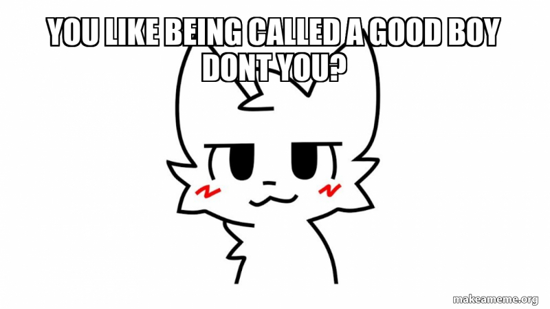 you like being called a good boy dont you? Meme Generator