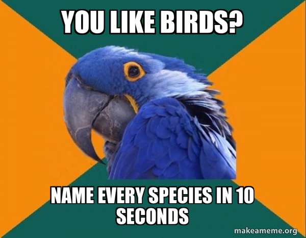 You like birds? Name every species in 10 seconds - Paranoid Parrot Meme ...