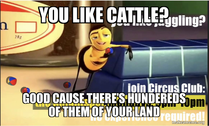 You like cattle? Good cause there’s hundereds of them of your land Meme ...