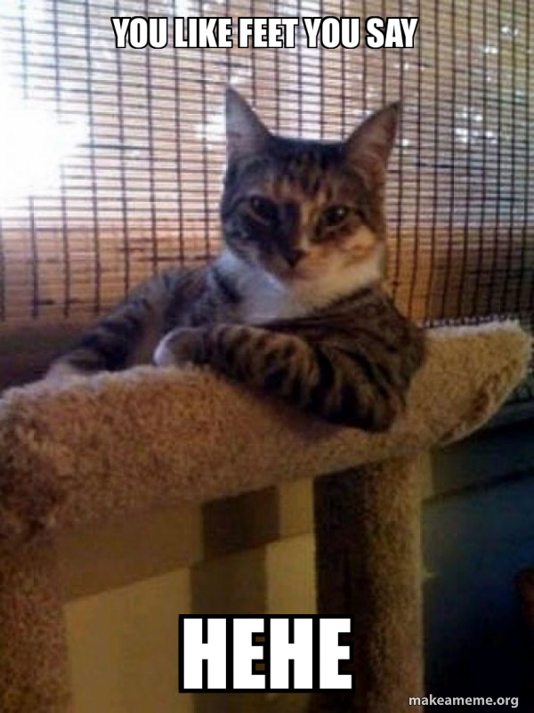 you like feet you say hehe - The Most Interesting Cat in the World Meme ...