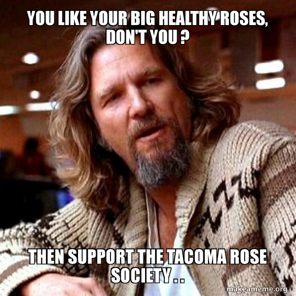 You like your big healthy roses, don't you ? Then support the Tacoma ...