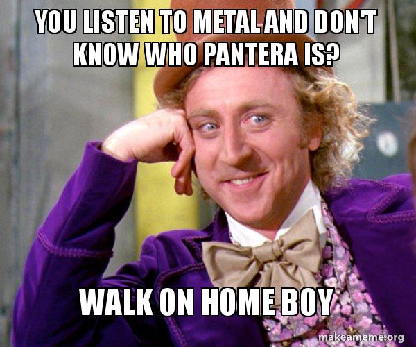 you listen to metal and don't know who Pantera is? walk on home boy ...