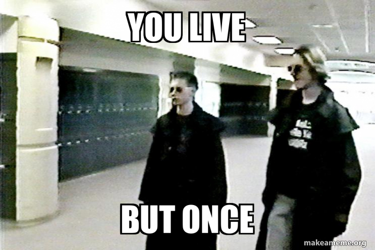 You liVe But once Meme Generator