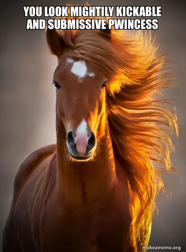 You look mightily kickable and submissive pwincess - Ridiculously ...