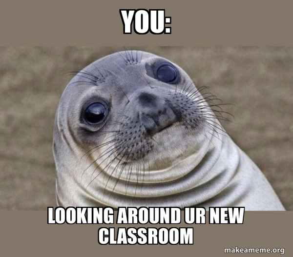 you: looking around ur new classroom - Squeamish Seal Meme Generator