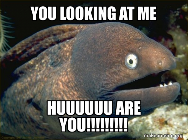 YOU LOOKING AT ME HUUUUUU ARE YOU!!!!!!!!! - Bad Joke Eel Meme Generator