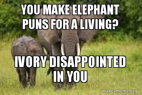 Ivory Memes