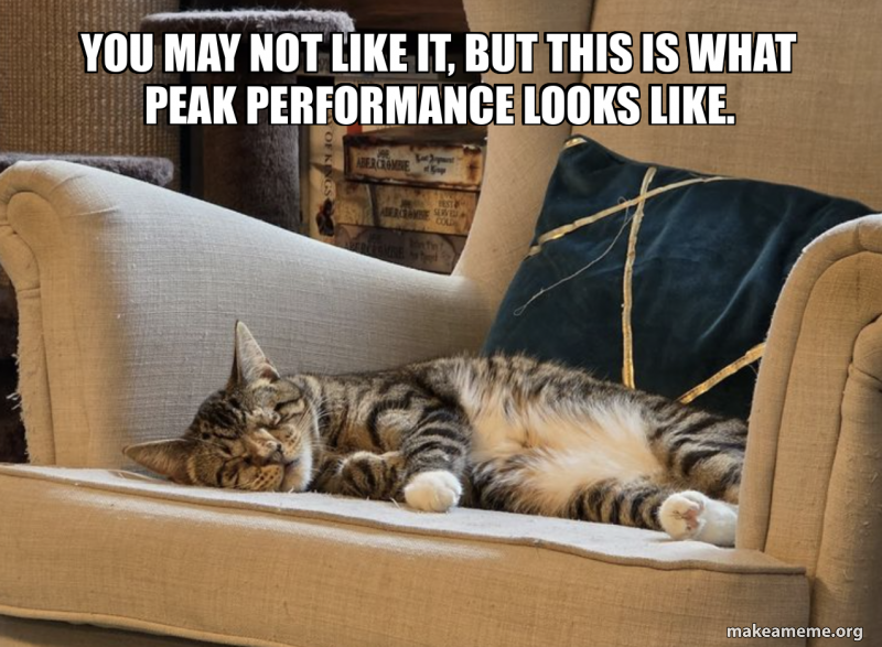 you may not like it, but this is what peak performance looks like. Meme Generator