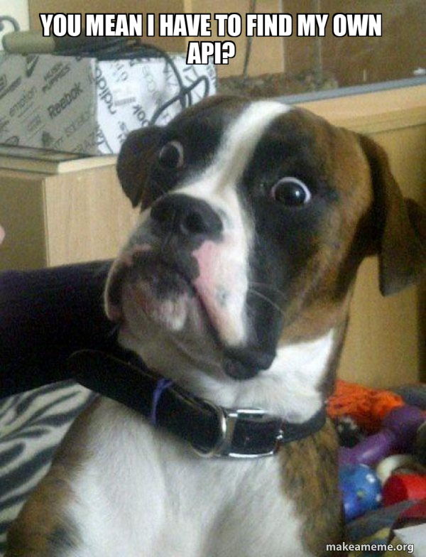 You mean I have to find my own API? - Skeptical Dog Meme Generator