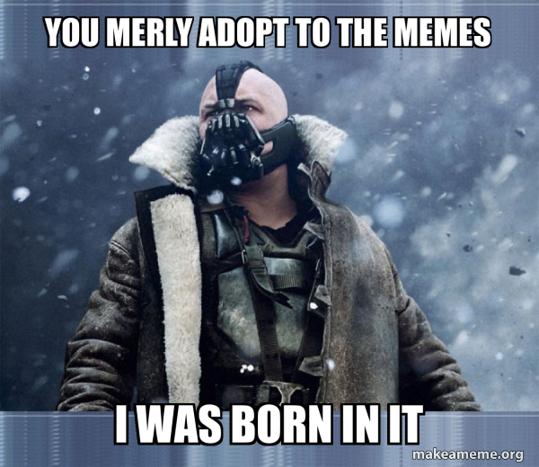 You merly adopt to the memes I was born in it - Bane (born into it, molded by it) Meme Generator