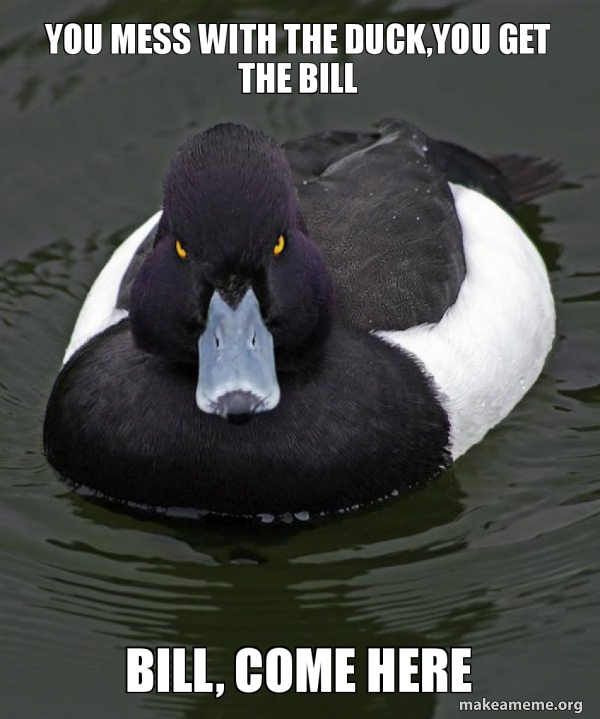 You mess with the duck,you get the bill Bill, come here - Revenge Duck ...