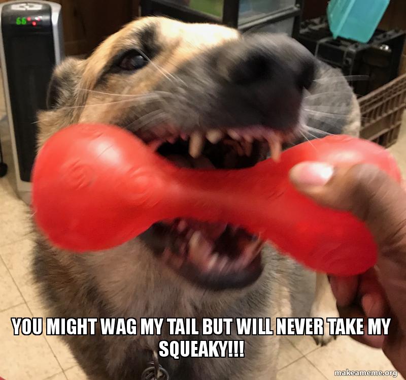 you might wag my tail but will never take my squeaky!!! Meme Generator