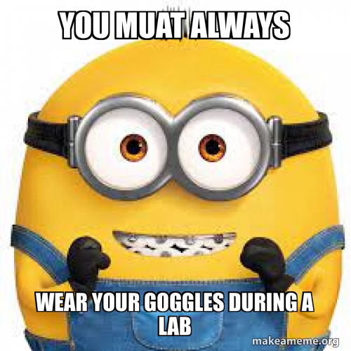 You muat always Wear your goggles during a lab Meme Generator