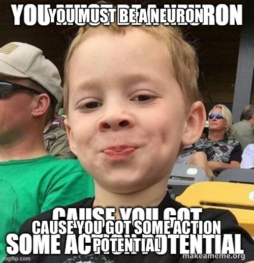 you must be a neuron cause you got some action potential Meme Generator