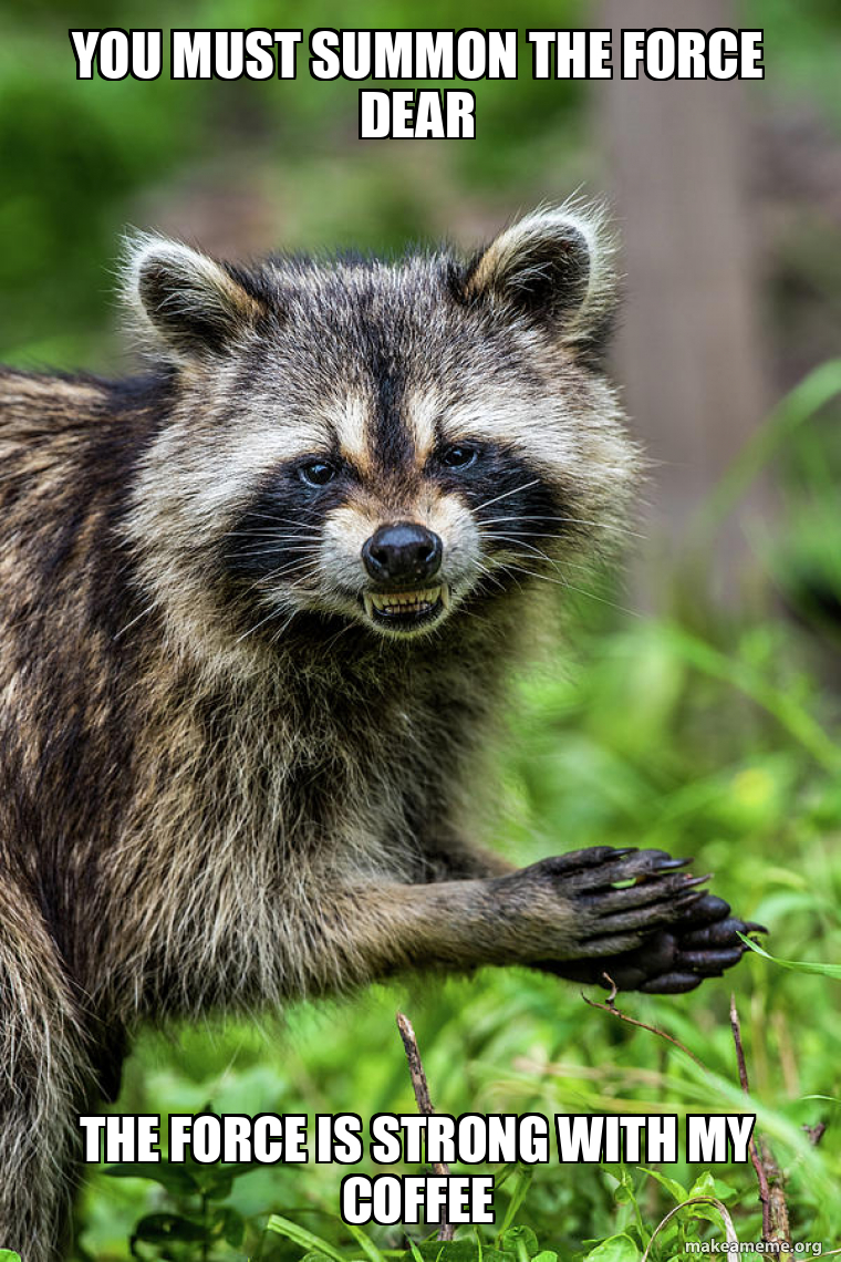 YOU MUST SUMMON THE FORCE DEAR THE FORCE IS STRONG WITH MY COFFEE Meme ...