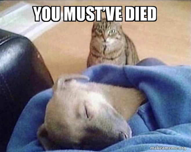 You musTâ€™ve Died Meme Generator