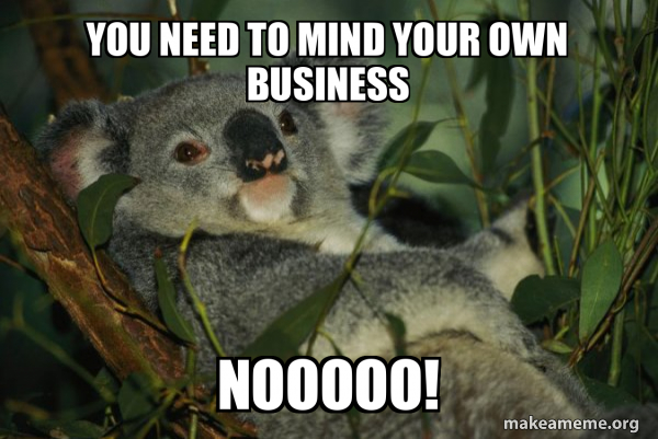 You need to mind your own business Nooooo! - Laid Back Koala Meme Generator