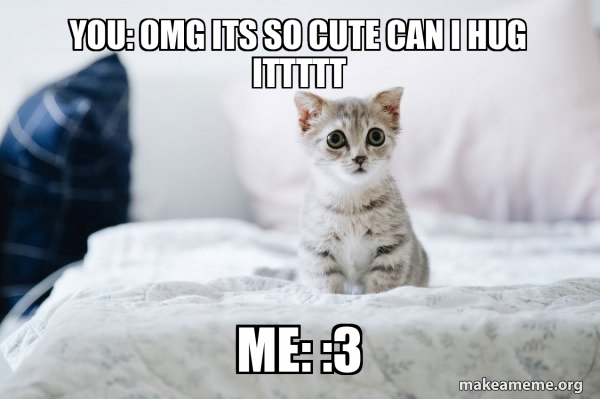You: Omg its so cute can I hug ittttt Me: :3 - Cute Kitten Meme Generator