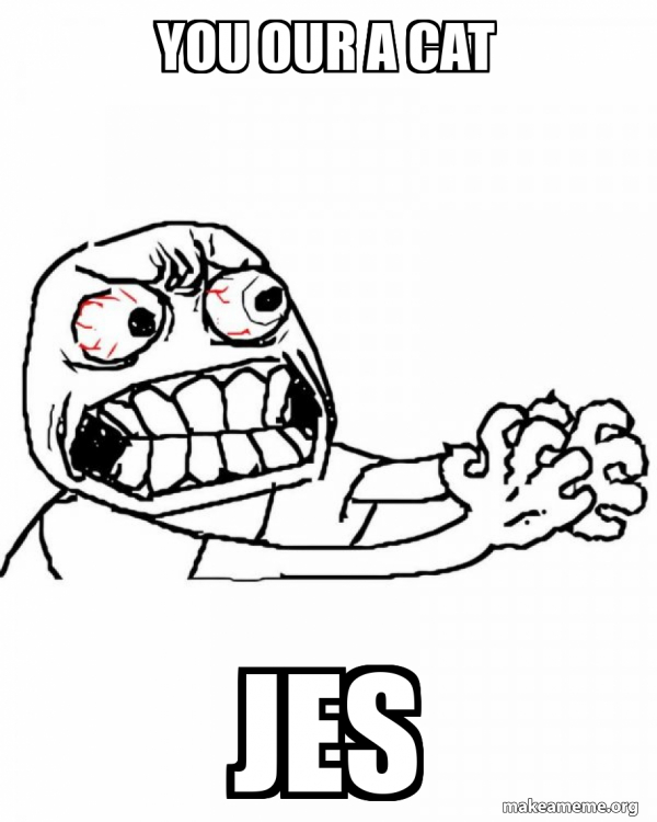 you our a cat jes - Angry Meme Generator