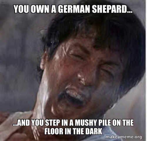 You own a german shepard… …And you step in a mushy pile on the floor in ...