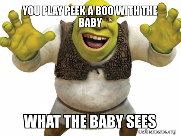 you play peek a boo with the baby what the baby sees - Shrek Meme Generator