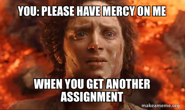 You: please have mercy on me When you get another assignment - Frodo it ...