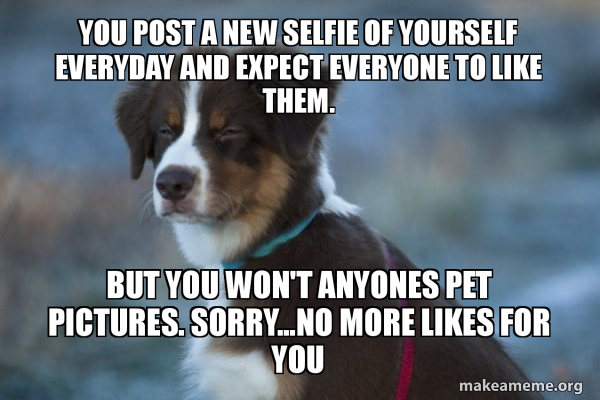 Selfie Everyday Memes Walmart OGP Memes Added A New Photo. Walmart