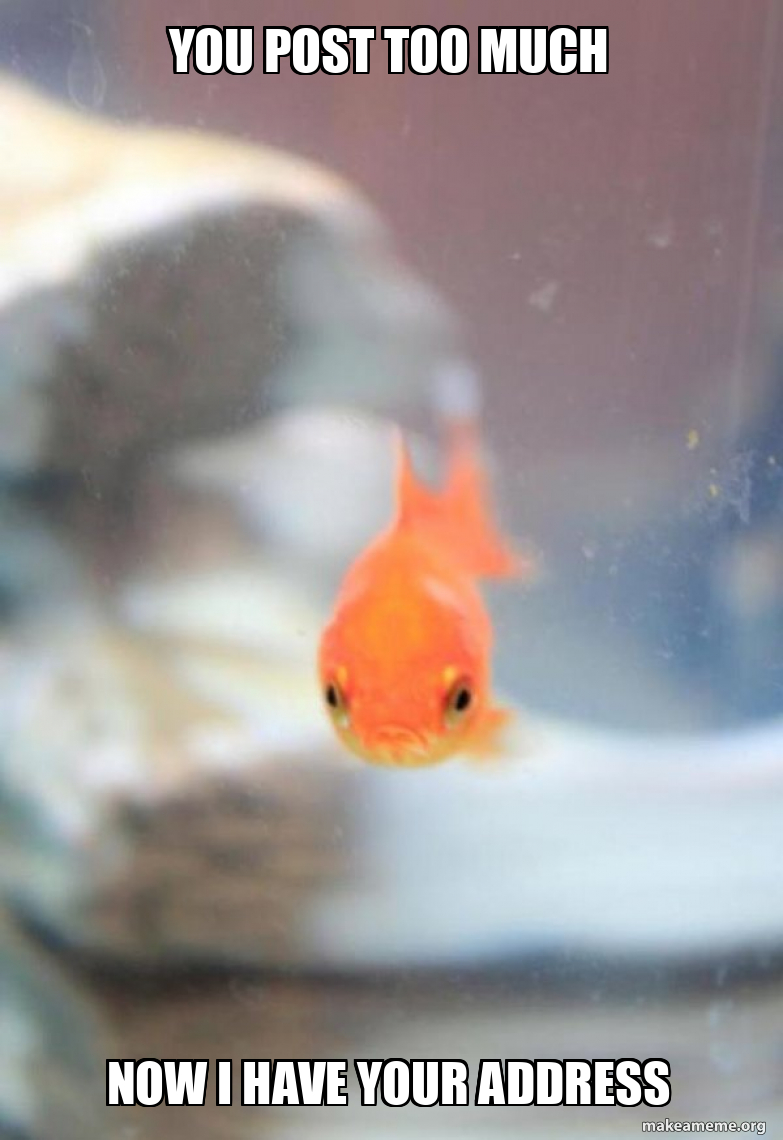 You post too much Now I have your address - Grumpy Fish Meme Generator