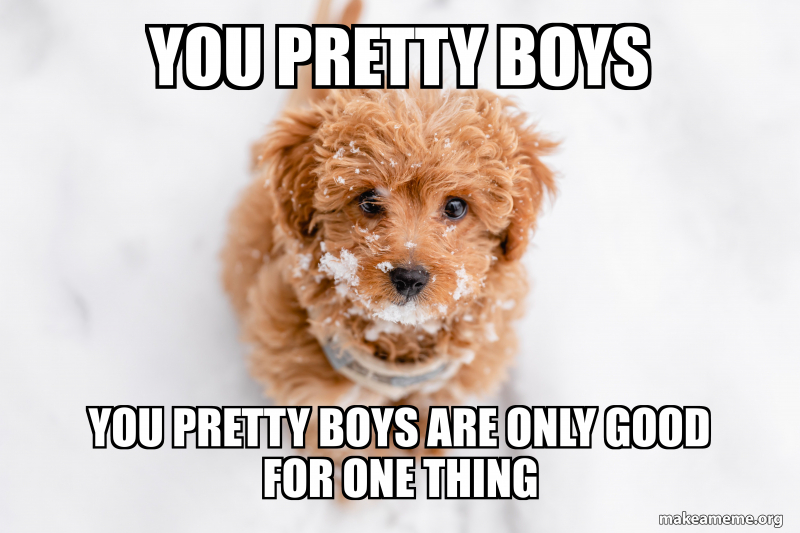 you pretty boys you pretty boys are only good for one thing Meme Generator