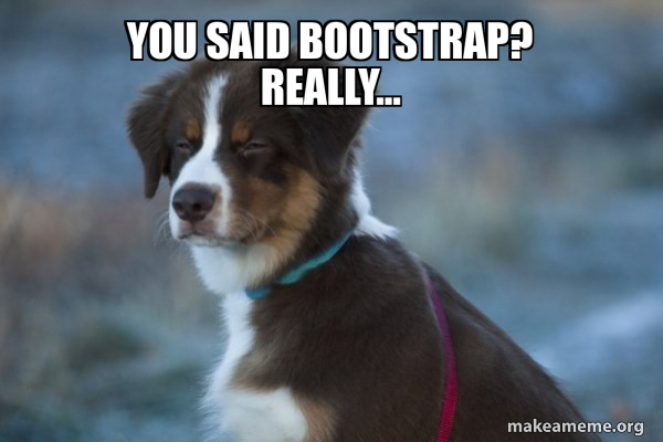 You said bootstrap? Really... - Unsure Dog Meme Generator
