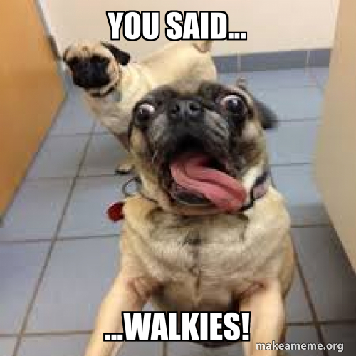 You said... ...Walkies! Meme Generator