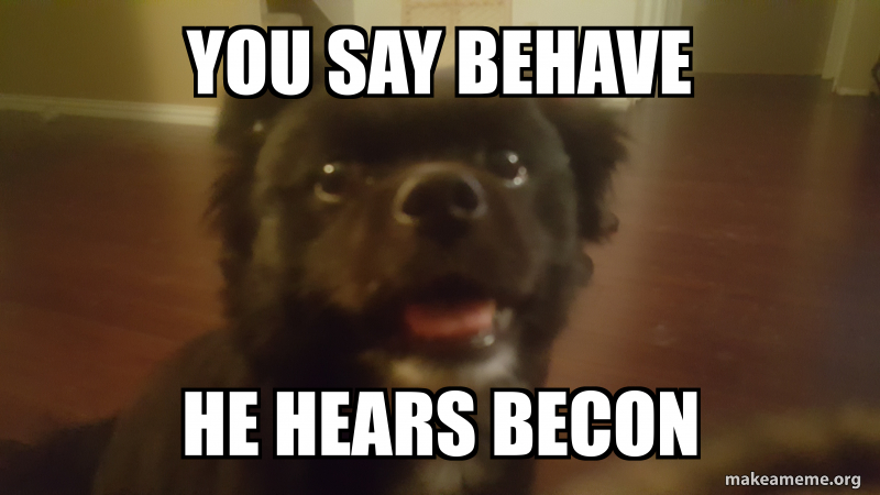 you say behave he hears becon - puppy eyes Meme Generator