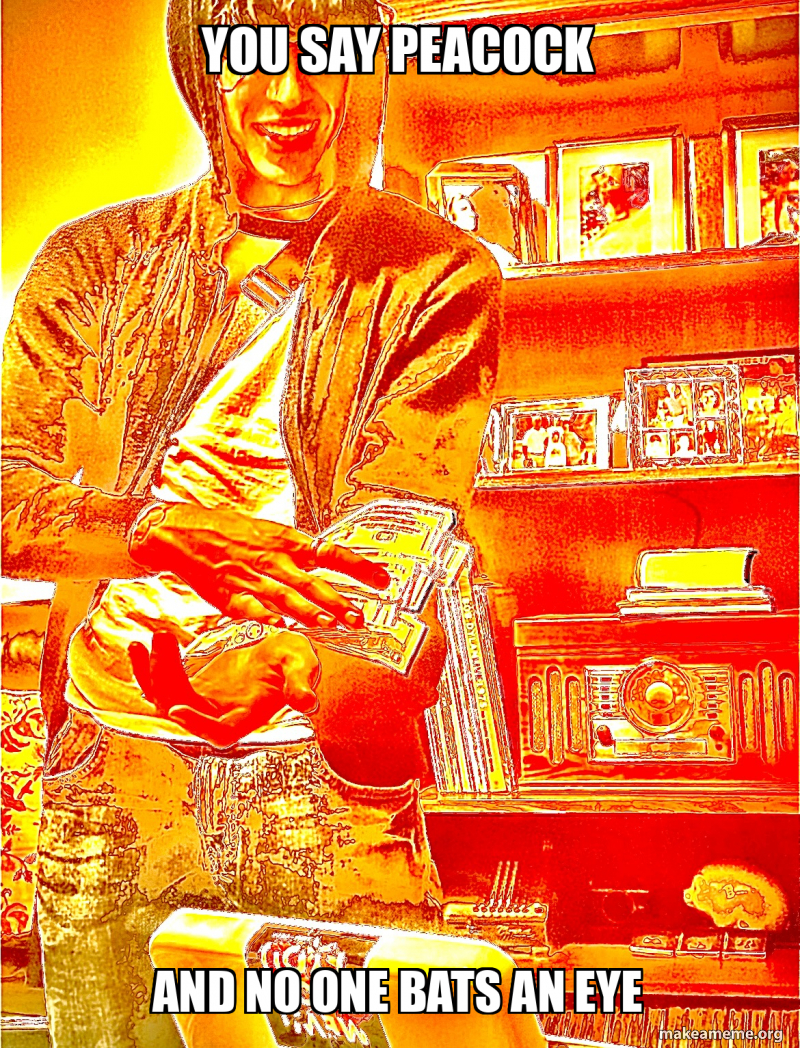 you say peacock And no one bats an eye Meme Generator