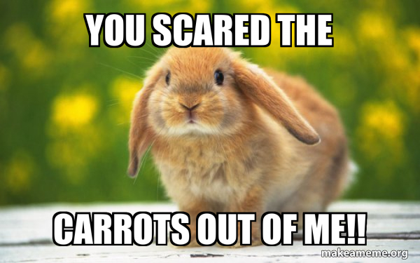 you scared the carrots out of me!! - Regretful Rabbit Meme Generator