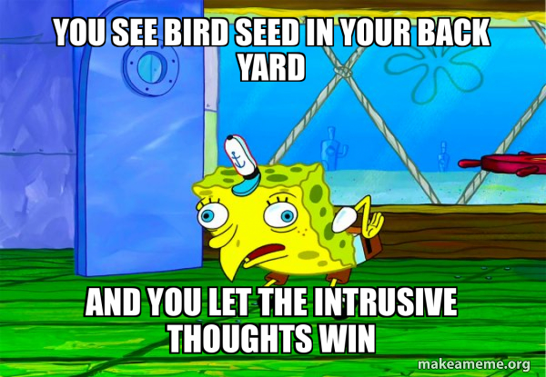 You see bird seed in your back yard and you let the intrusive thoughts ...