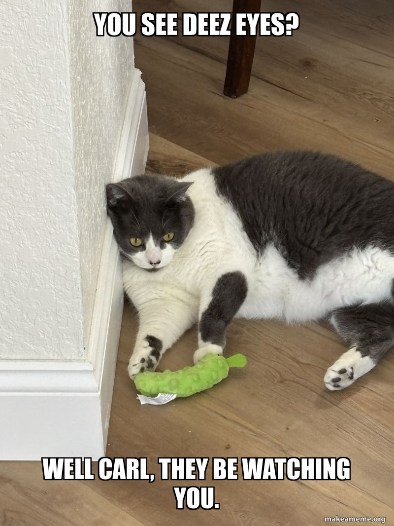 You see deez eyes? Well carl, they be watching YOU. Meme Generator