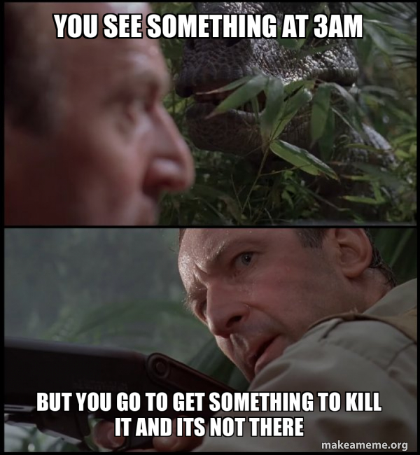You see something at 3am But you go to get something to kill it and its ...